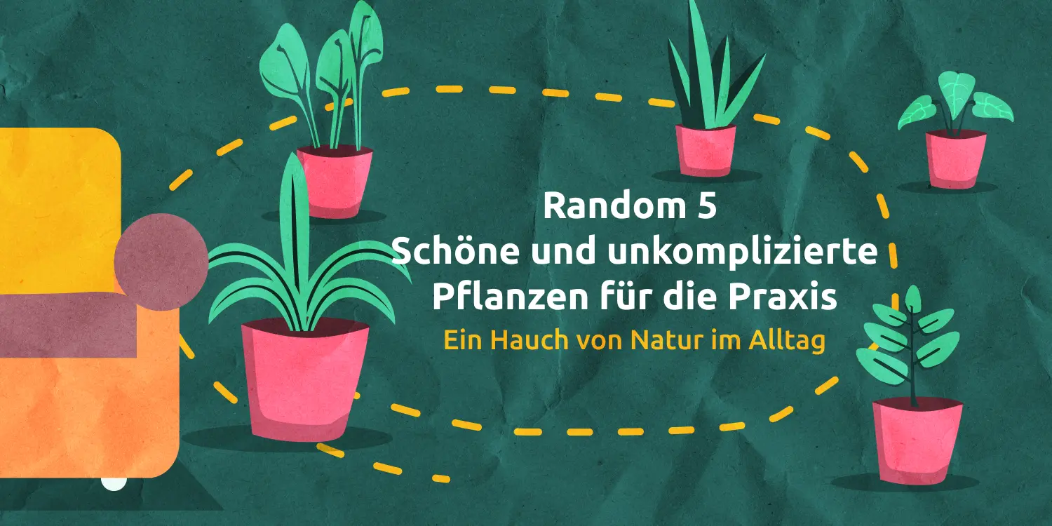 Schöne und unkomplizierte Pflanzen für die Praxis: Ein Hauch von Natur ...